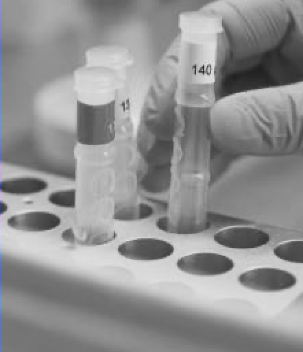 ARKGlobal - Your Trusted Cryo Shipper | IVF & Stem Cell Shipping