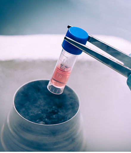 ARKGlobal - Your Trusted Cryo Shipper | IVF & Stem Cell Shipping