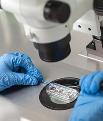 ARKGlobal - Your Trusted Cryo Shipper | IVF & Stem Cell Shipping
