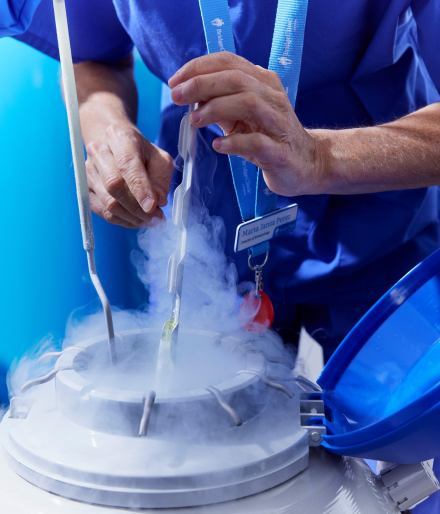 ARKGlobal - Your Trusted Cryo Shipper | IVF & Stem Cell Shipping